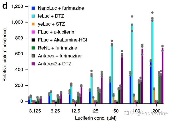 荧光素酶 - 知乎