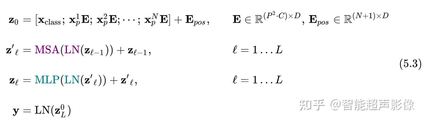 Vision Transformer(vit)pytorch代码详解 知乎