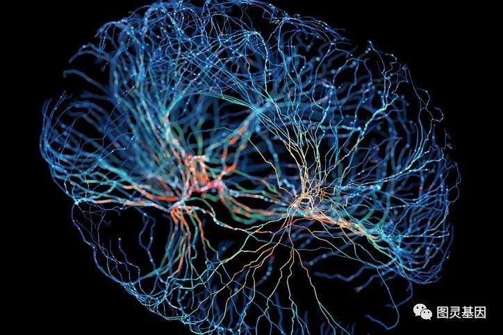 Nat Str Mol Bio | 冷冻电镜解码GABA转运蛋白的结构 - 知乎