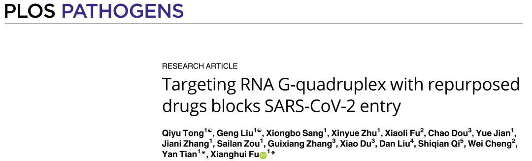 PLOS Pathog︱四川大学华西医院傅湘辉/田艳团队报道新冠防治潜在药物：拓扑替康和小檗胺靶向RG4，抑制新冠病毒感染 - 知乎