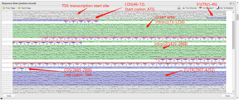 自留|如何查基因启动子和转录因子结合位点？ - 知乎