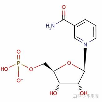 一文读懂NMN（NMN介绍、NMN副作用、NMN功效） - 知乎