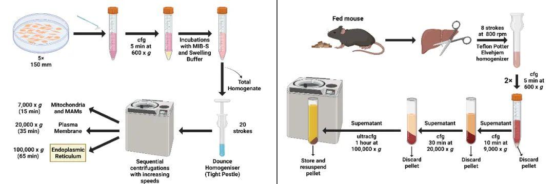 Bio-protocol | 2023年9月5日最新上线实验方案目录 - 知乎