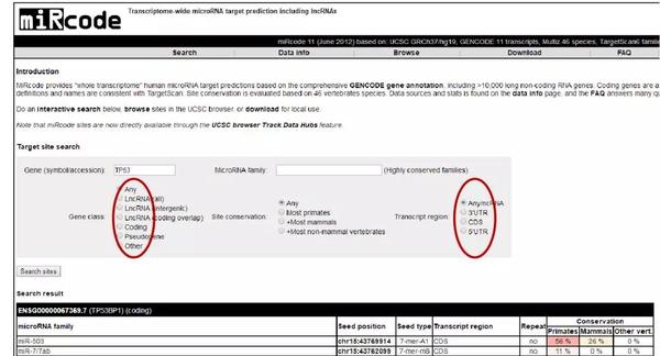 常用microRNA靶基因预测工具 - 知乎