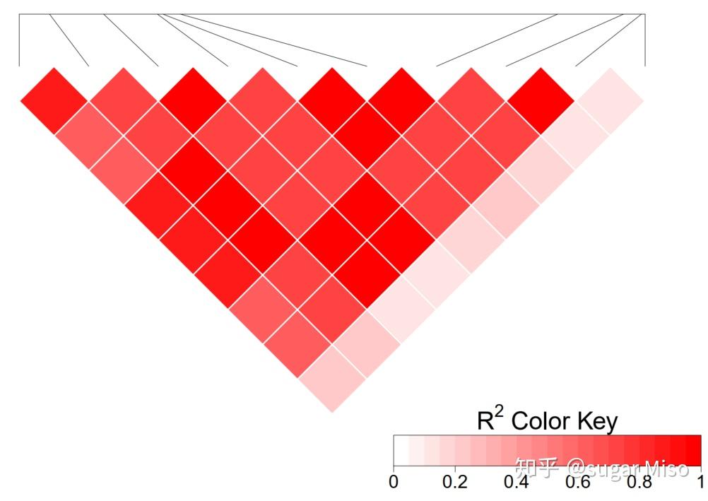 使用LDheatmap快速绘制SNP连锁不平衡图 - 知乎