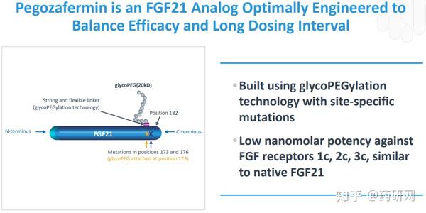 FGF21：NASH领域逆境前行现曙光 - 知乎