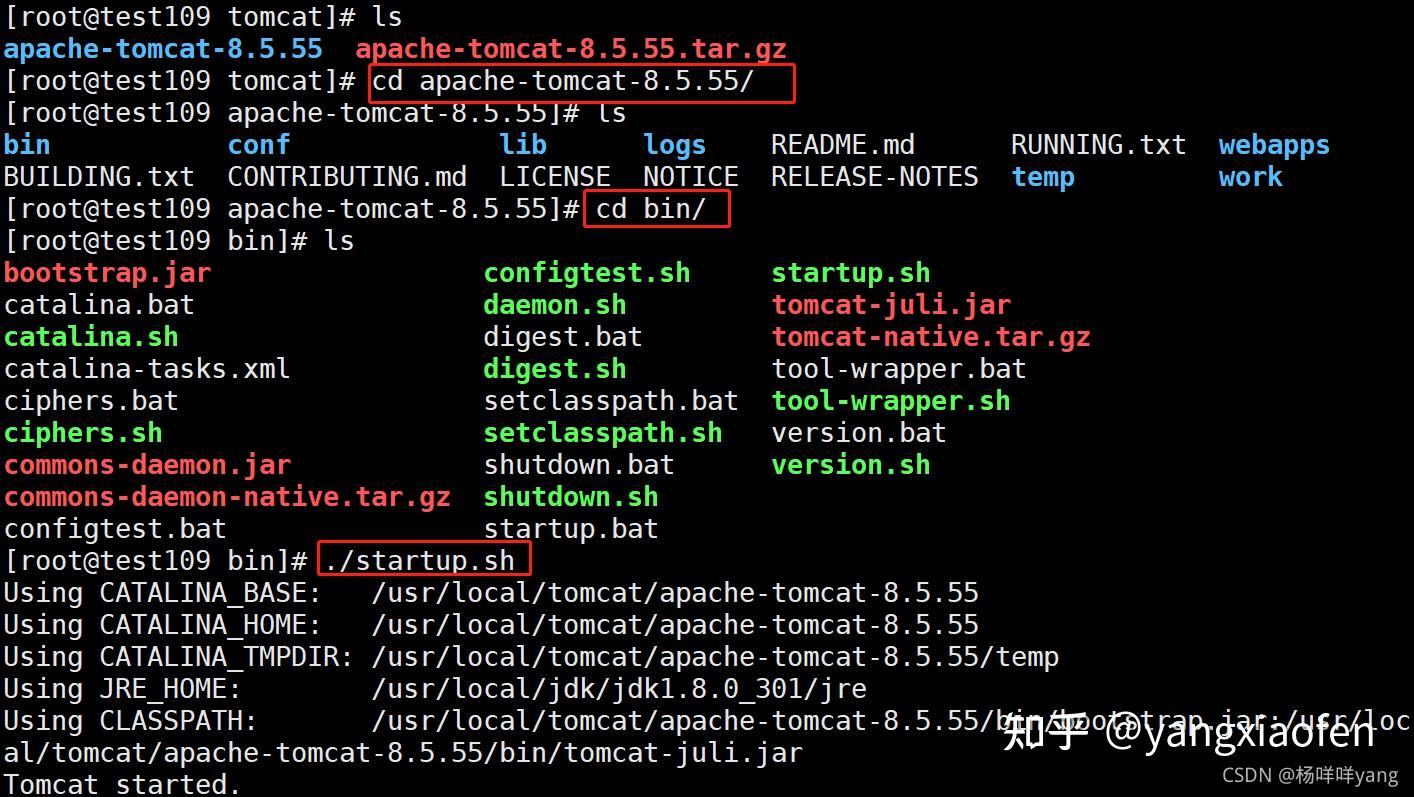 Linux安装tomcat、无法启动的解决方案 - 知乎