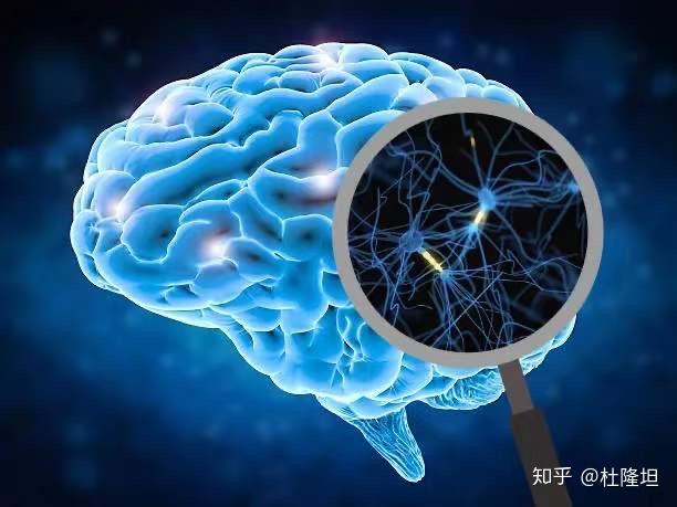 毒品是怎样让人上瘾的? 知乎