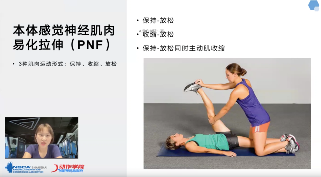 PNF拉伸对运动范围和肌肉功能的影响 - 知乎