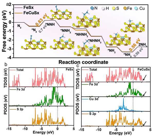 Co、Ni、Cu、Zn掺杂FeSx催化NRR（Cu促进NRR，抑制HER，NH3选择性75%） - 知乎