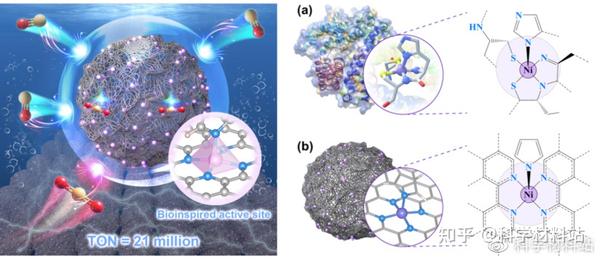 陈小明院士/廖培钦教授研究团队Angew：Ni基单原子纳米酶在中性条件下实现100%选择性的安培级eCO2RR - 知乎