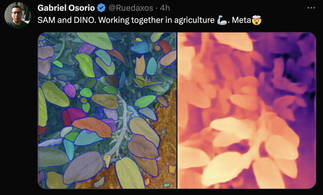 CV圈又炸了？小扎高调官宣DINOv2，分割检索无所不能，网友：Meta才是「Open」AI - 知乎