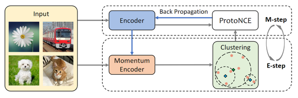 聚类对比学习——SwAV&PCL模型浅析 - 知乎