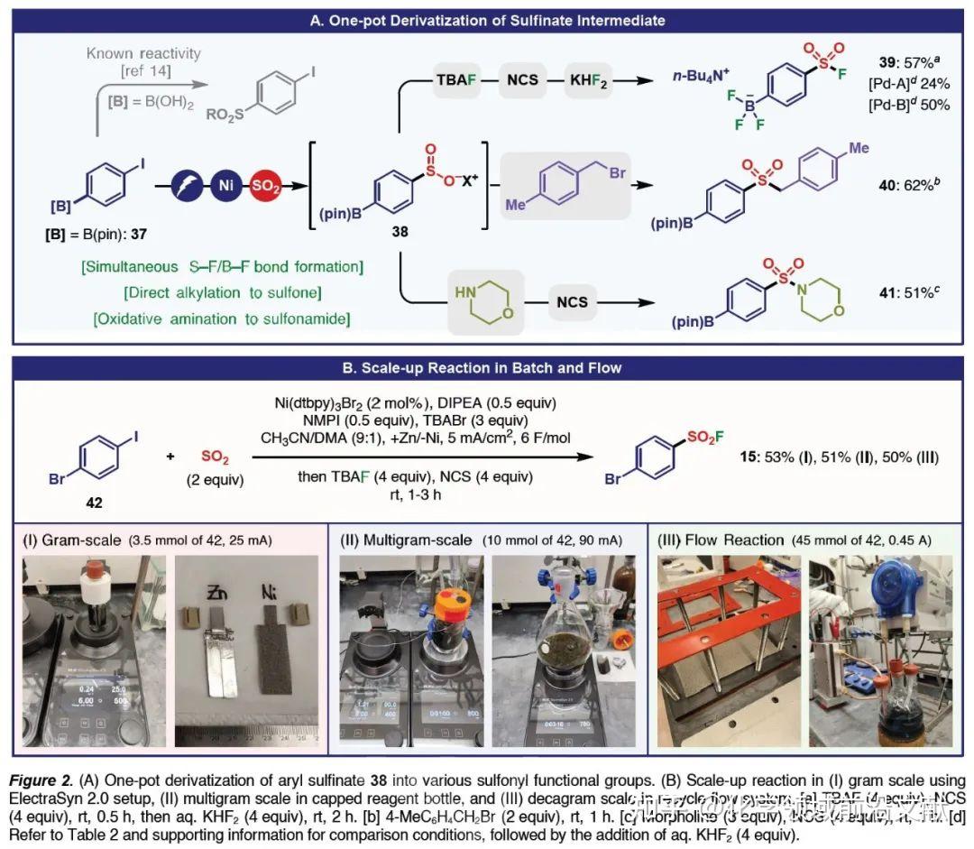 Baran组Angew：镍/电催化芳基卤化物的亚磺酰化反应 - 知乎