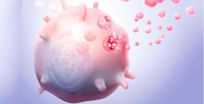 外泌体是什么？带你走进间充质干细胞外泌体的世界~ - 知乎