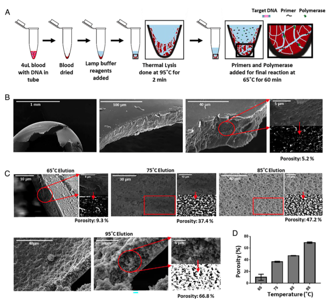 PNAS丨血源性感染检测重大突破，5天——>2小时 - 知乎