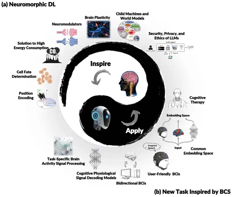 TKDE | 哈工大SCIR推出脑认知启发的深度学习全面综述 - 知乎