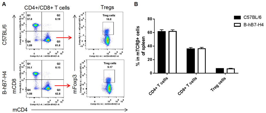 B7-H4 | B7家族又一肿瘤治疗潜力靶点 - 知乎