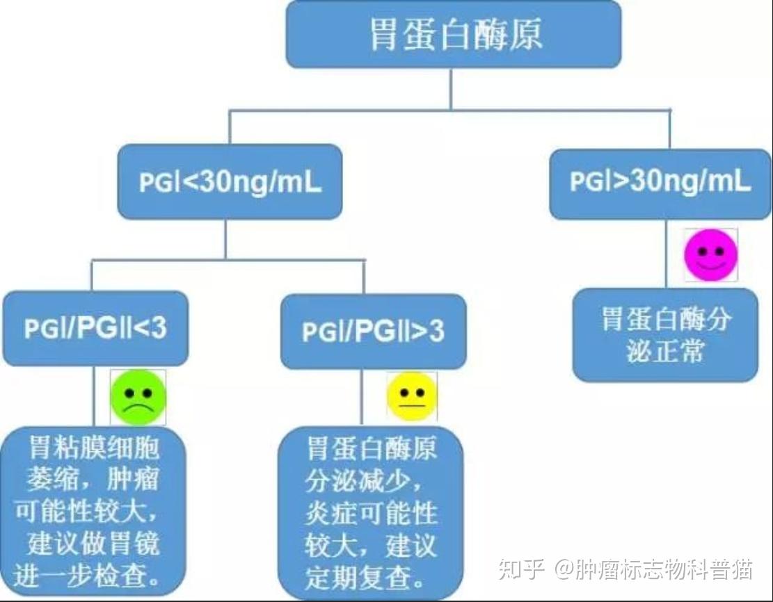 肿瘤标志物科普系列--PGI/PGII（胃蛋白酶原I+II） - 知乎
