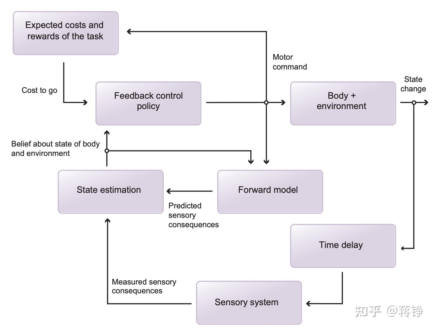 【笔记】认知科学（20）应用动态系统：来自儿童发展心理学的两个例证 - 知乎