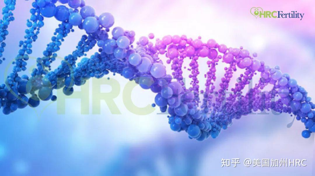 HRC课堂 | 胚胎等级 vs PGS/PGD，哪个才是衡量胚胎移植的最佳标准？ - 知乎
