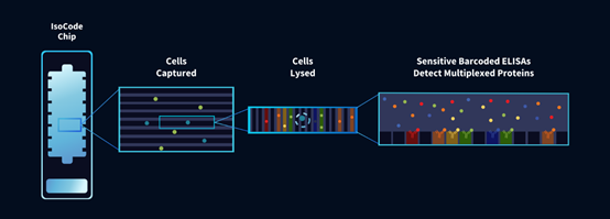 IsoPlexis 全自动单细胞功能蛋白质组学分析系统解决方案 - 知乎
