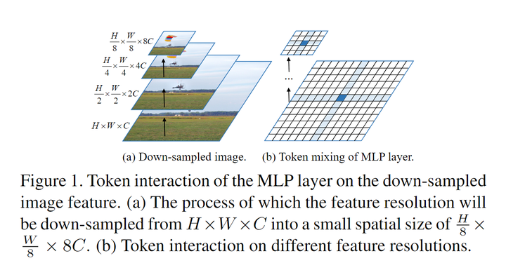 Strip-MLP: Efficient Token Interaction for Vision MLP - 知乎