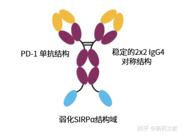 黑色素瘤治疗方法,全球首个PD-1/CD47双功能融合蛋白治疗黑色素瘤患者达到PR， 引领肿瘤免疫治疗迈入黄金时代--探药新途 - 知乎