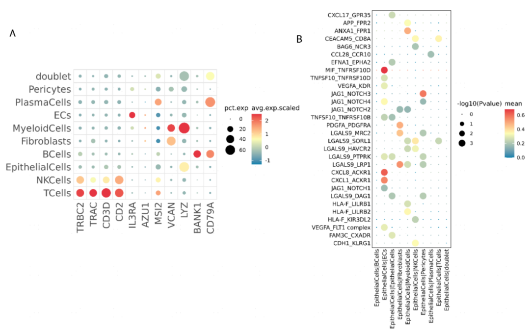 还在担心你的单细胞文章出图吗？新格元带您领略单细胞数据之美 - 知乎
