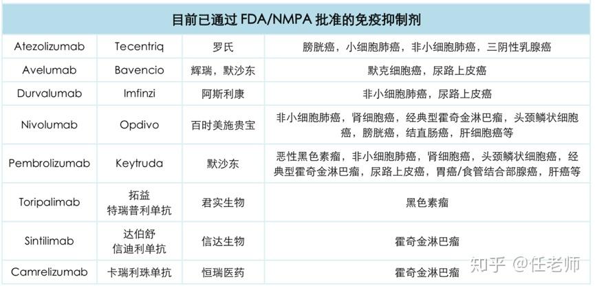 PDL-1，TMB，MSI 这些到底是什么？有什么意义？ - 知乎