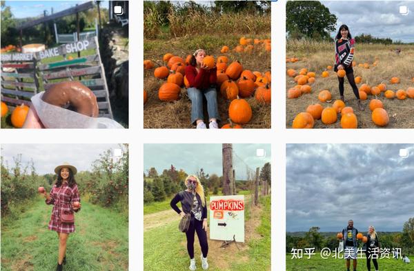 【最强盘点】纽约八大特色南瓜采摘地推荐，黄澄澄的南瓜已全部到位，这个周末一起摘南瓜去！ - 知乎