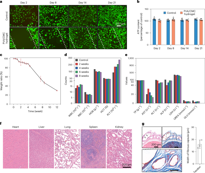 Nature BME | 从“听见”组织的呼吸开始：一种无需芯片的柔性植入式传感器 - 知乎