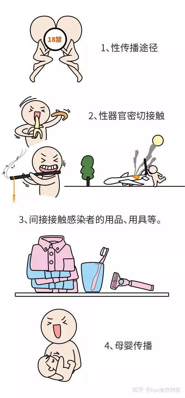 Hpv是什么? 感染hpv的途径有哪些?如何预防感染hpv? 知乎