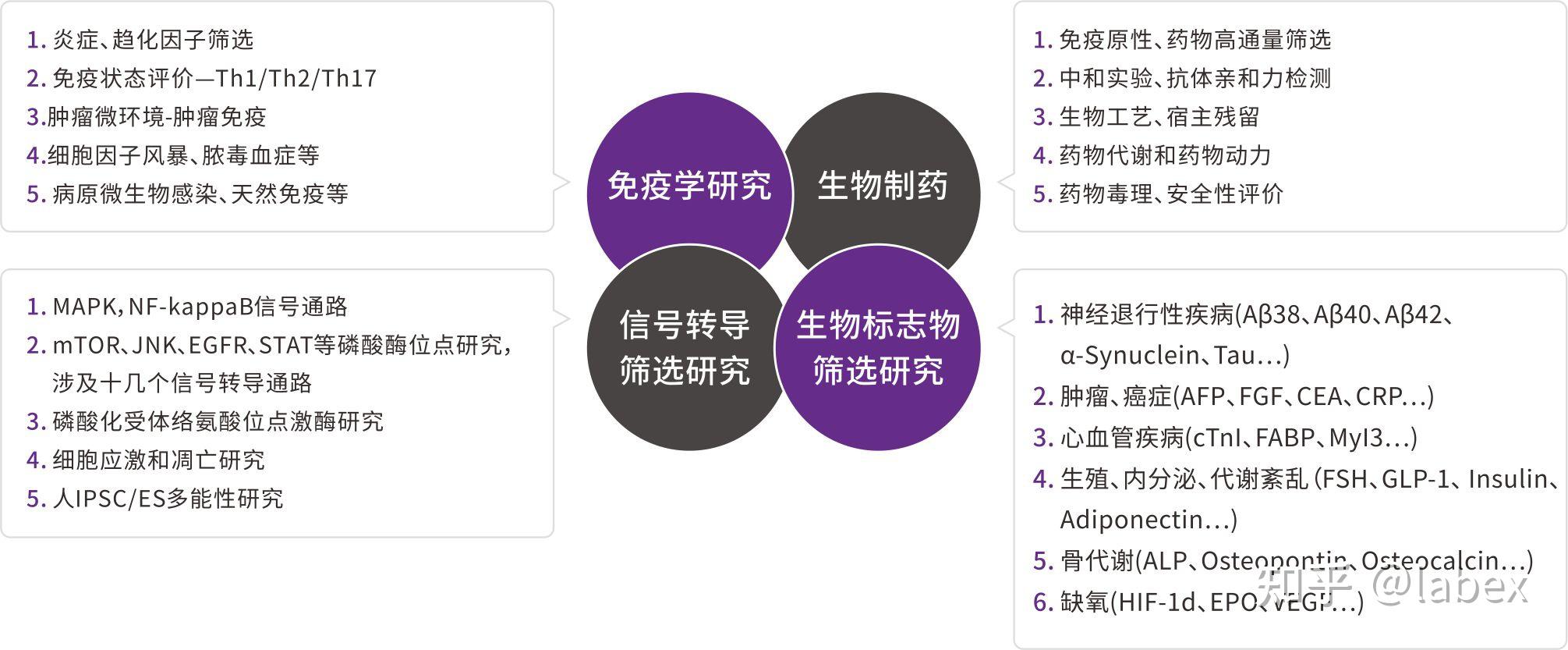 神经重磅标志物：GFAP是胶质纤维酸性蛋白（glial fibrillary acidic protein） - 知乎