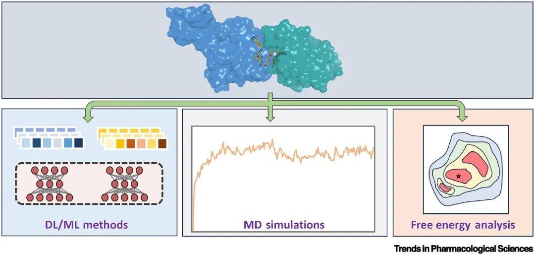 Trends Pharmacol. Sci. | 利用计算科学推进PROTAC药物发展 - 知乎