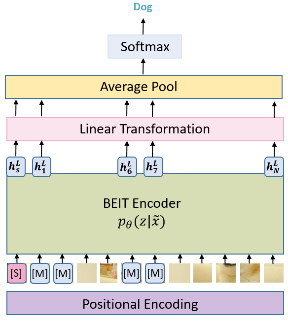 Self-Supervised Learning 超详细解读 (三)：BEiT：视觉BERT预训练模型 - 知乎