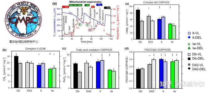 2022年OROBOROS O2k能量代谢相关文章锦集 - 知乎