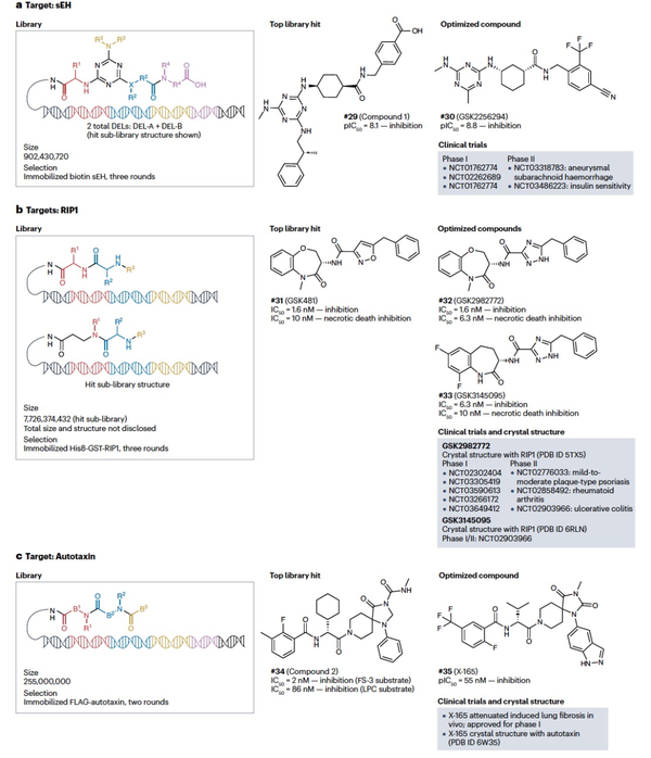Nat. Rev. Drug. Discov. | 通过DNA编码库进行小分子发现 - 知乎