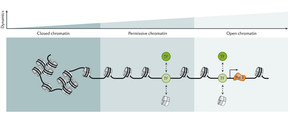 文献精读丨GWAS+TRN多组学方法揭示小麦穗发育调控过程 - 知乎