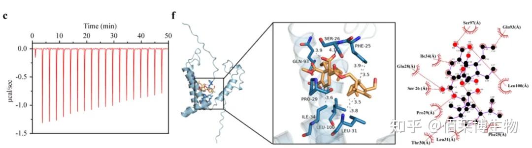 药物研究专题七：MST、SPR、ITC 技术在小分子与蛋白互作研究中的应用 - 知乎