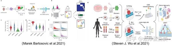 多篇文章解析CUT&Tag技术应用场景 - 知乎