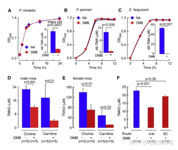 文献解读 | 抑制肠道微生物三甲胺（TMAO）有效降低动脉粥样硬化风险 - 知乎