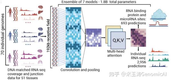 Deep Genomics 推出最先进的AI基础模型，用于发现RNA疾病机制和候选疗法 - 知乎
