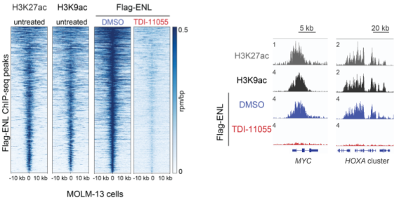 组蛋白ChIP-seq研究思路及应用案例分享 - 知乎