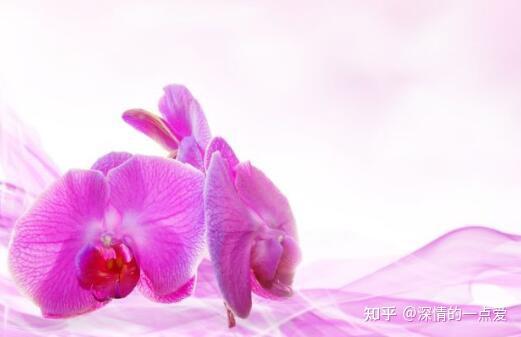 过度手瘾长期早些泄怎么治疗比较好，除了吃药还有哪些方法 知乎