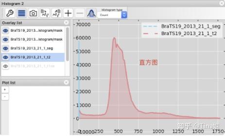 fsleyes -- 一款多功能影像数据查看器 - 知乎