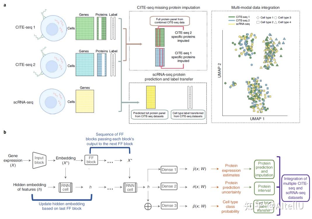 Nature Machine Intelligence | 深度学习预测蛋白表达 - 知乎