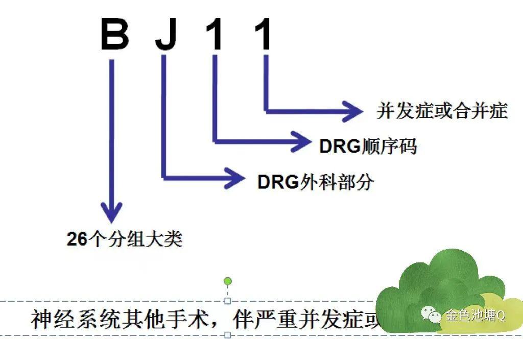 规范化疾病分类对DRG分组的影响 - 知乎