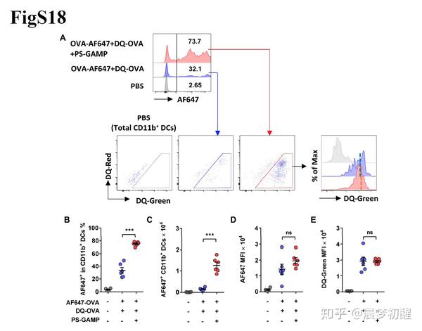 仿生肺泡表面活性物质的纳米粒子增强异型流感病毒免疫 - 知乎