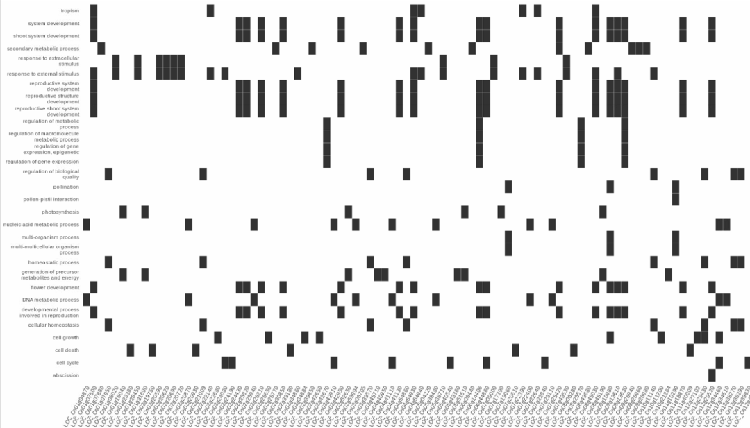 GWAS分析中的GO和KEGG富集分析 - 知乎